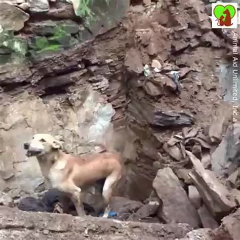 Birendra Kumar Agarwal On Linkedin Empathy Passion Life Endeavour Onelife Compassion