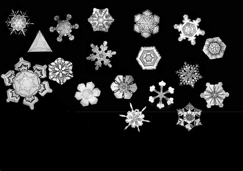 The Snowflake Man American Profile
