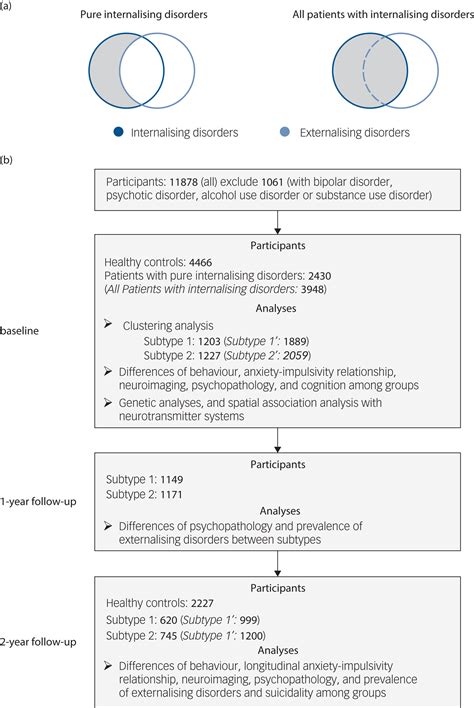 Decoding Anxietyimpulsivity Subtypes In Preadolescent Internalising