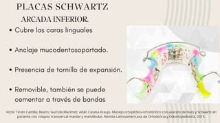 Placas Swartz Historiaventajas Desventajas Indicaciones Pdf
