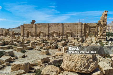 유네스코 세계 문화 유산 도시 팔미라 시리아의 유적 0명에 대한 스톡 사진 및 기타 이미지 0명 Unesco 조직된 단체