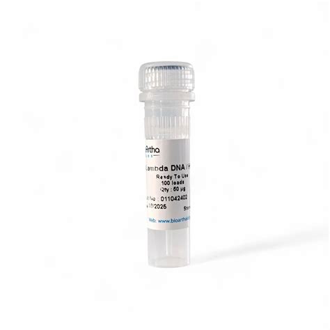 Dna Ladder Dna Marker Latest Price Manufacturers And Suppliers