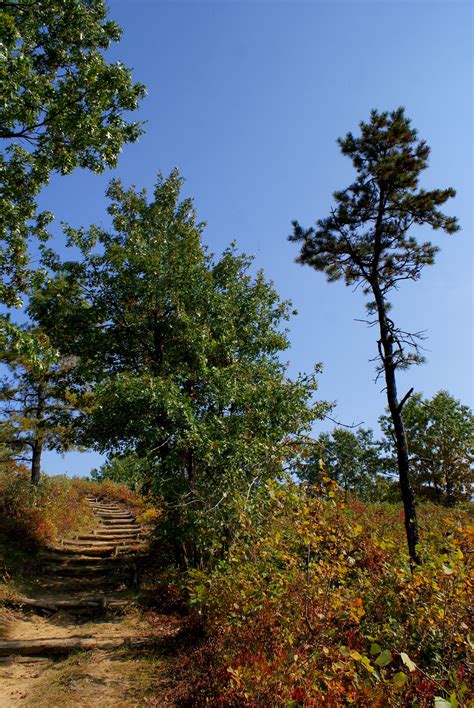 Albany Pine Bush In Albany Ny Artofit