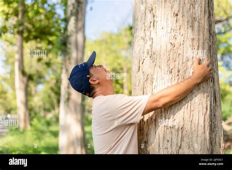Tree Hugging Asian Man Giving A Hug On Big Teak Tree Hug Love Tree