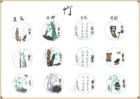 【生物多样性看山西】 自然笔记大赛作品展（六） 搜狐大视野 搜狐新闻