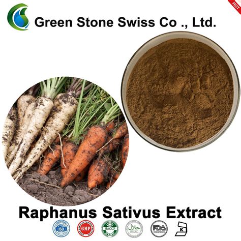 Buy Raphanus Sativus Extract Online From Green Stone Swiss Wholesale