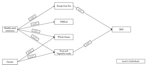 Multilevel Structural Equation Modeling Level 1—individual Download Scientific Diagram