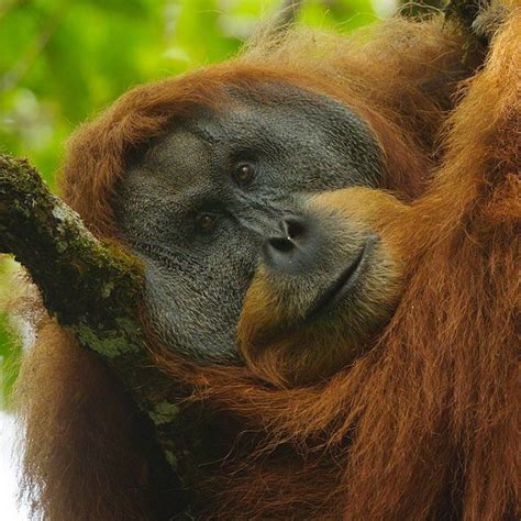 National Geographic Travel On Instagram “photo By Timlaman Outtake