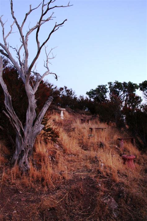 Hillside Path By Justconfused On Deviantart