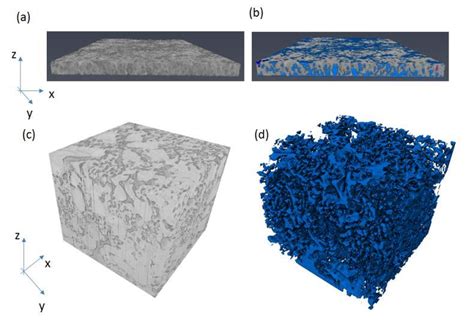 A Xct Image With V X V Y V Z 500 Nm B Segmented Xct Image The Download Scientific