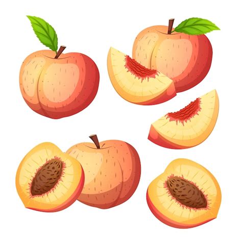 Premium Vector Peach Fruit Set Cartoon Vector