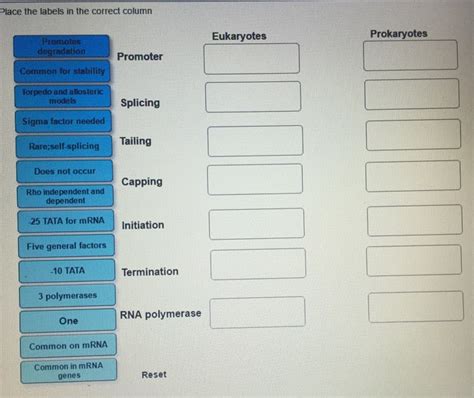 Solved Place The Labels In The Correct Column Promotes