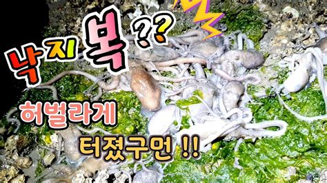 해루질♡♡나만 낙지복 허벌나게 터졌구먼 낙지를 못잡는 이남자 낙지가 안보이니 2020년 3월 31일 Youtube