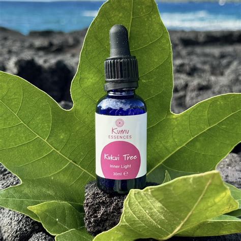 Kukui Tree Feel Heal Share