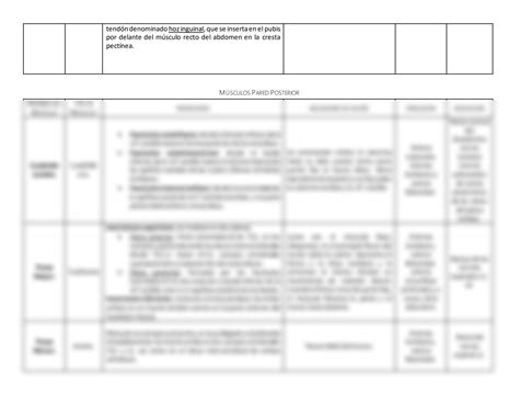 SOLUTION Tabla De M Sculos Del Abdomen Studypool