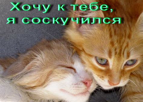 Картинки скучаю по тебе солнышко мое картинки