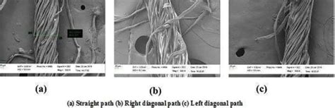 Surface Morphology Of Modified Diagonal Path Yarn Download Scientific Diagram