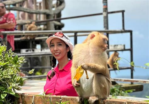 Phuket City Tour Big Buddha Chalong Temple ATV Ele Tiger GetYourGuide