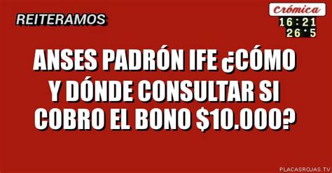 Anses Padrón Ife ¿cómo Y Dónde Consultar Si Cobro El Bono 10 000