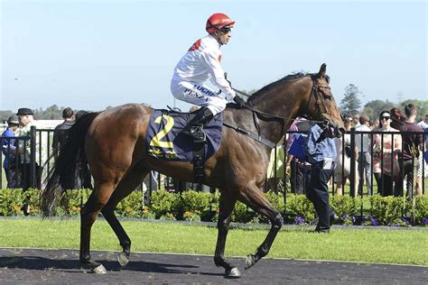 Masterstroke Scores A Class Record Win For Team Dynamic