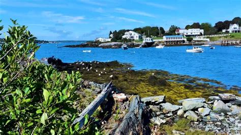 Harpswell Зображення — огляд 200 Стокові фото векторні зображення й