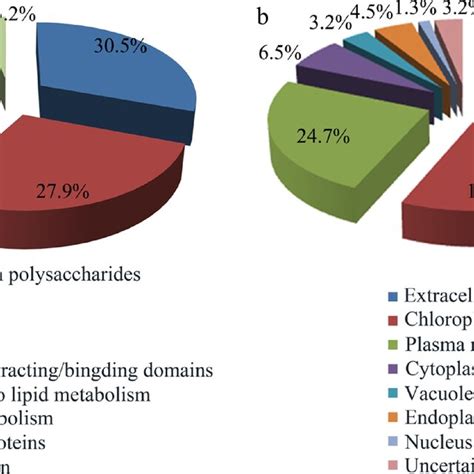 Functional Classification And Localization Of The Identified