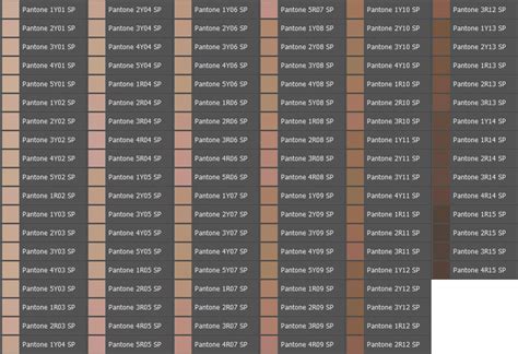 Nuancier Pantone Couleurs De Peau Photoshoplus