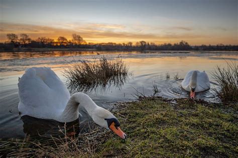 Schöner Tagestrip Zum Hasesee In Bramsche