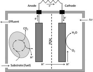 Schematic Representation Of A MFC Download Scientific Diagram