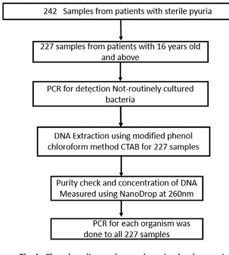 Urogenital Pathogens In Urine Samples Of Clinically Diagnosed Urinary