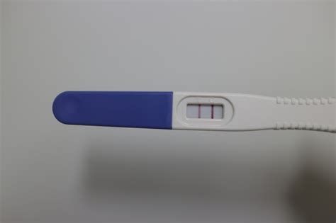 배란 9일차 임테기 단호박 배란 10일차 11일차 12일차 증상기록 네이버 블로그