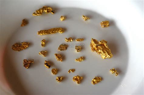 澳大利亚金矿挖掘者白色工人工作金属掘金挖掘机幽默奢华淘金者男性高清图片下载 正版图片321074912 摄图网