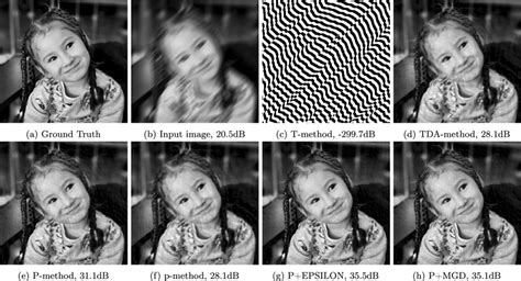 result of reversing a motion blur filter with different methods after