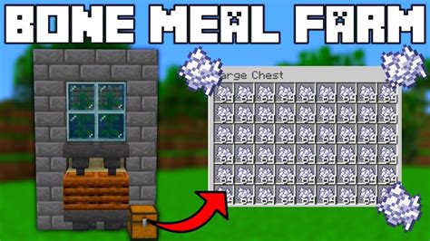 🦅 Minecraft Bedrock 120 Easy Bone Meal Farm Tutorial Youtube