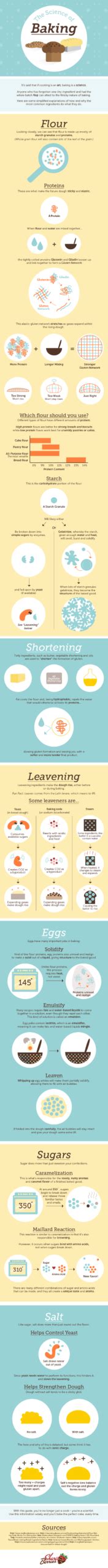 The Science Of Baking In One Graphic