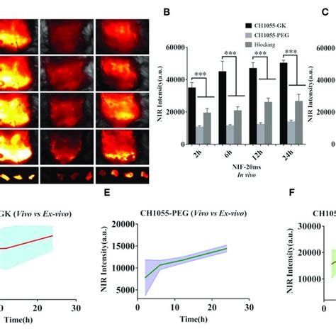 Pdf Nir Ii Fluorescence Imaging Of Skin Avulsion And Necrosis
