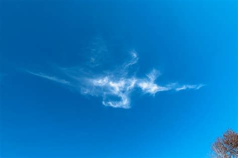 Minor Fossil Substack