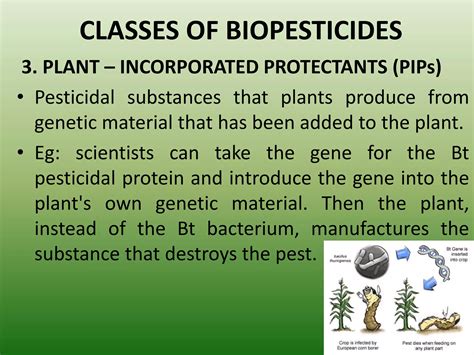 Biopesticides Pptx