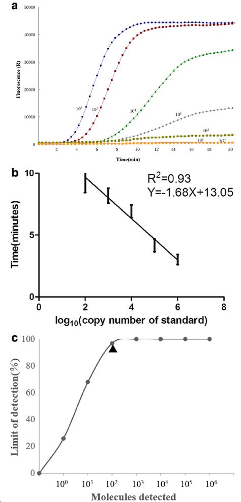 A Typical Raw Fluorescence Data Of Real Time RT RPA Assay For Standard