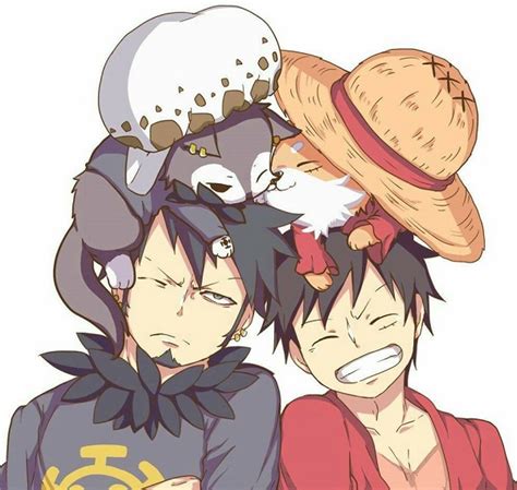 Cùng Ngắm 188 ảnh Law X Luffy “tình Bể Bình” Siêu đáng Yêu