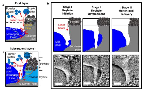 Melt Pool Dynamics Revealed By X Ray Imaging A Schematics Of The Download Scientific Diagram