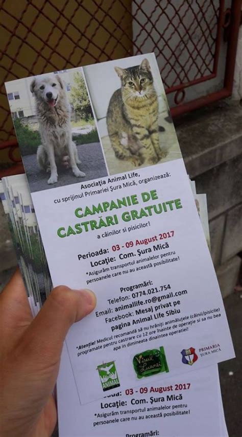 Animal Life organizează o campanie de castrări gratuite pentru câini şi