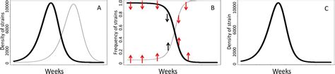 frequency dependent selection