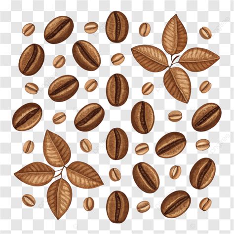 Coffee Beans Pattern Design Coffee Beans Beans Coffee Png