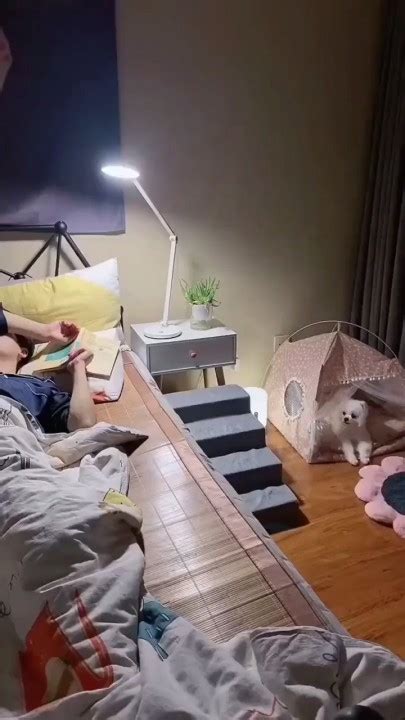 Sher Graham Posted On Linkedin