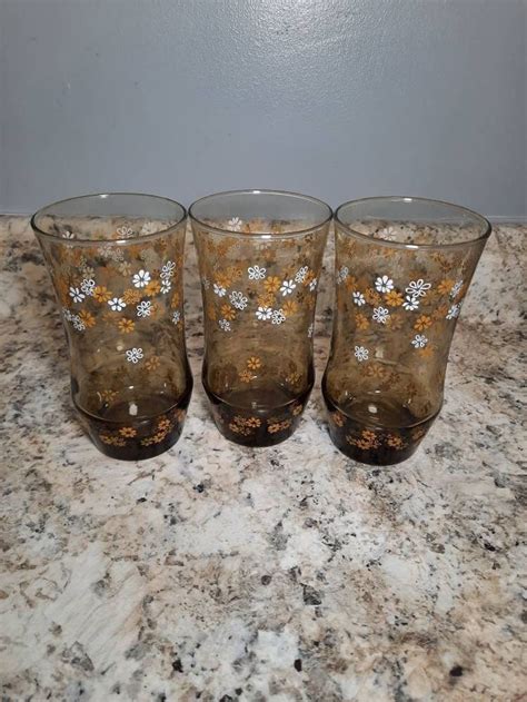 Vintage 70s Libbey Strawflower Tawny Drinking Glass Tumblers Etsy