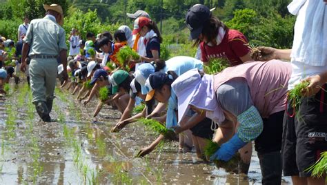 昔ながらの田植えに挑戦！田植え体験 サポート付レジャー農園｜里山シェア大井松田（神奈川）