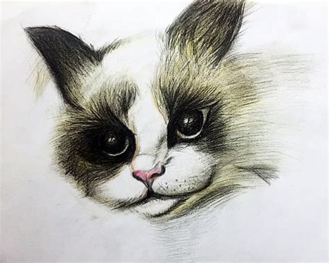 儿童画赏析—孩子们画笔下机灵可爱的小猫咪！ 中国少儿艺教网 资源
