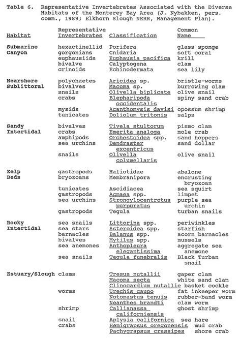 Phylum Comparison Chart