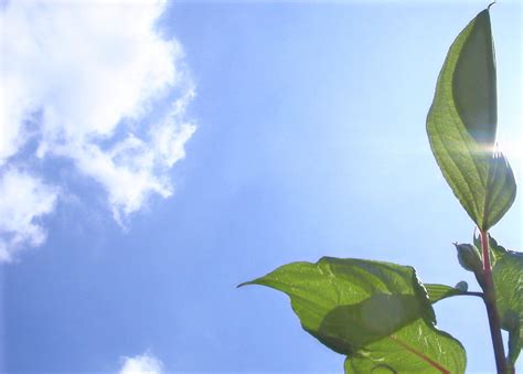 Useful Information Rebecca Reynolds